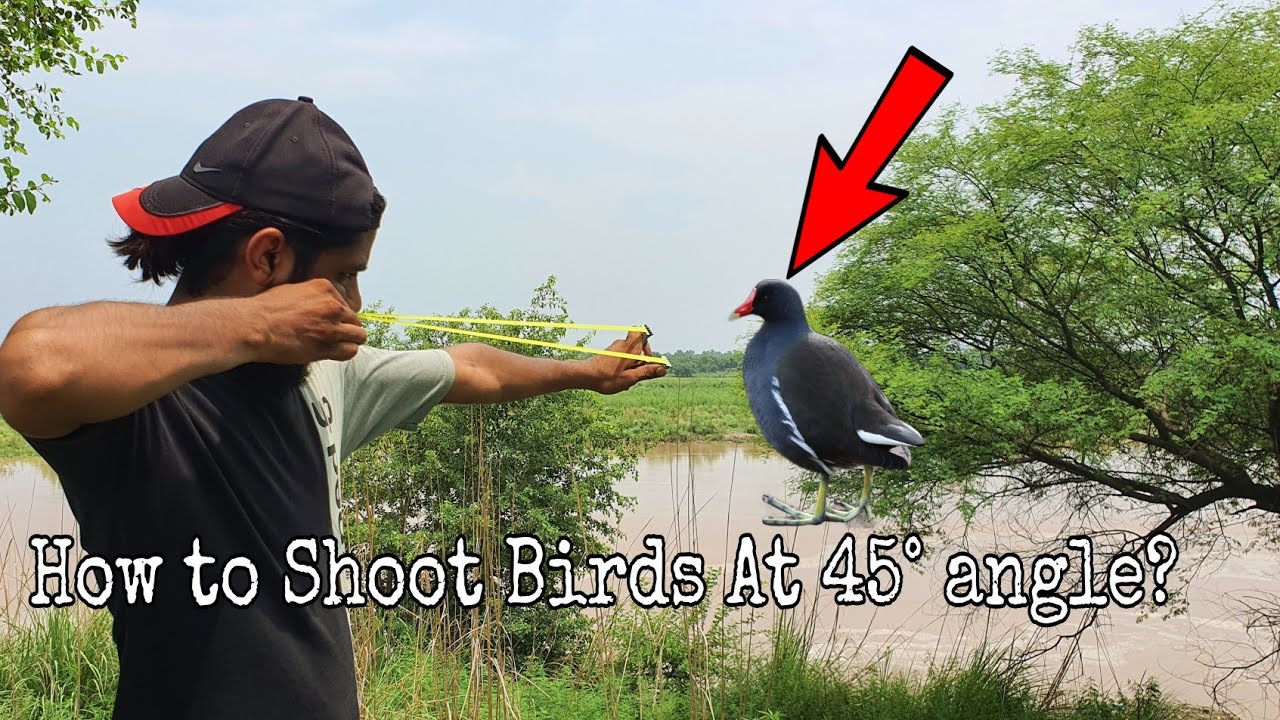 How to Shoot Birds at 45° Angle? - YouTube