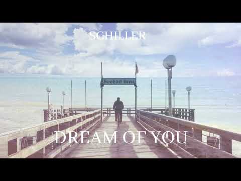 Schiller - Dream Of You 432hz