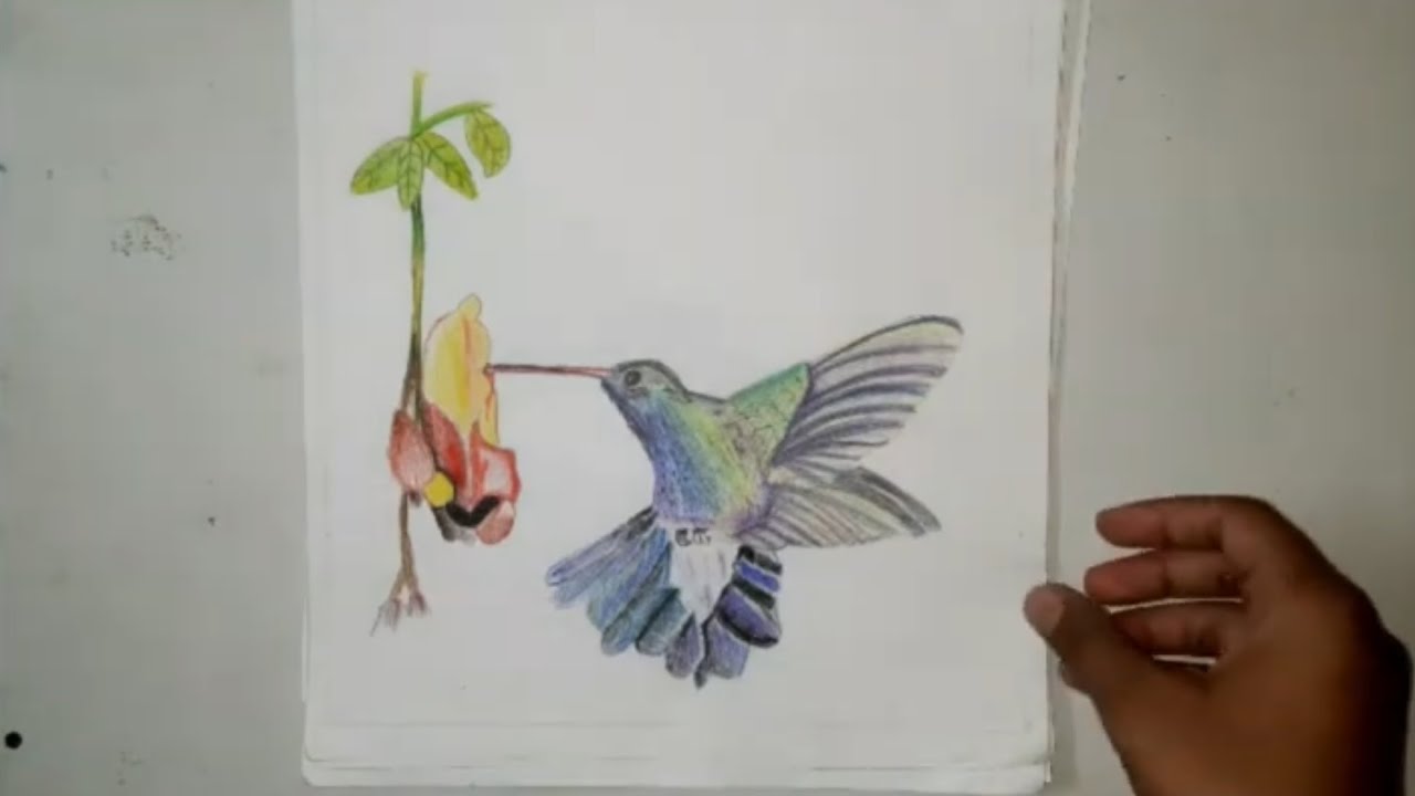 My 10 Superb drawings made by me!😀|Artistic Mind - YouTube