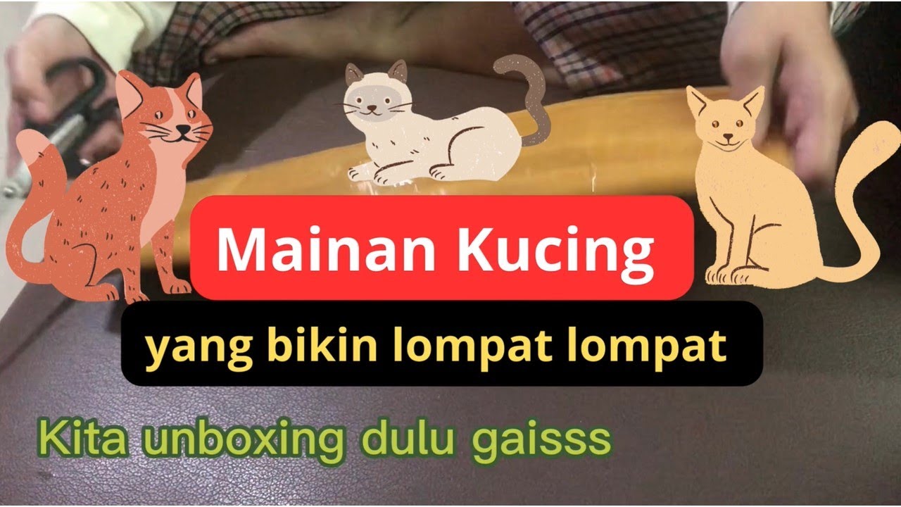 Mainan Kucing yang bikin lompat-lompat #kucinglucu - YouTube