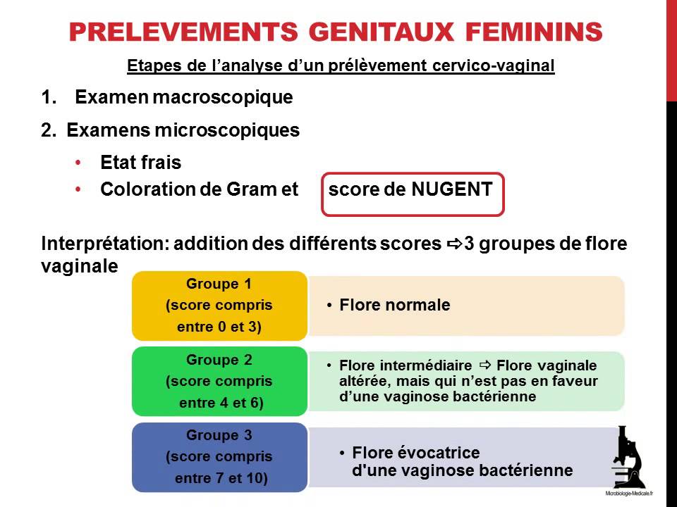 Les prelevements genitaux - YouTube