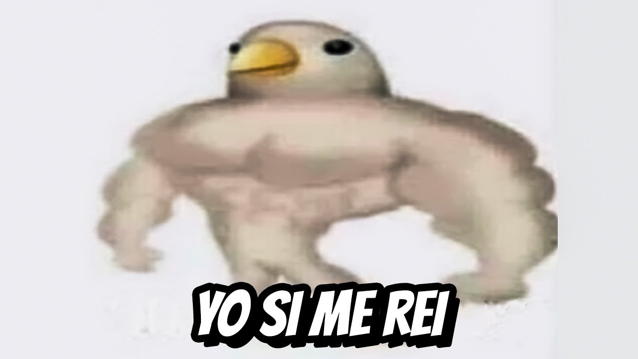 Shitposting Compilation V73 - YouTube