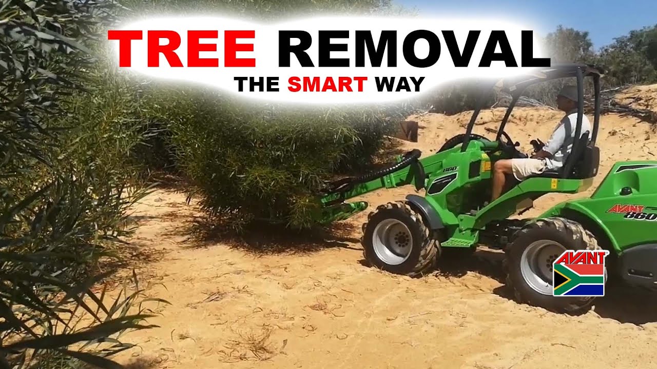 AVANT 860i with Tree Shear Attachment (The beast!) - YouTube
