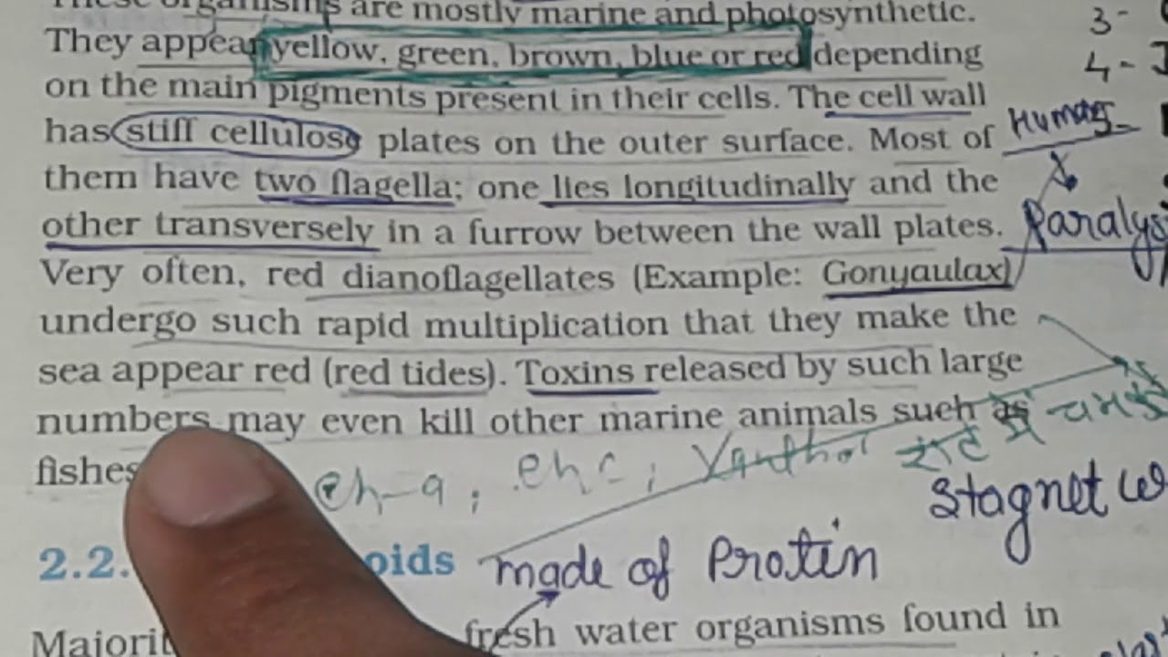 Biological classification Dinoflagellates and Euglenoids NEET NCERT BiO ...