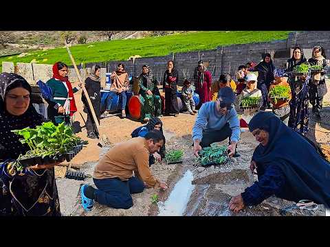 A big and amazing change at the new farm at the Grandma's family