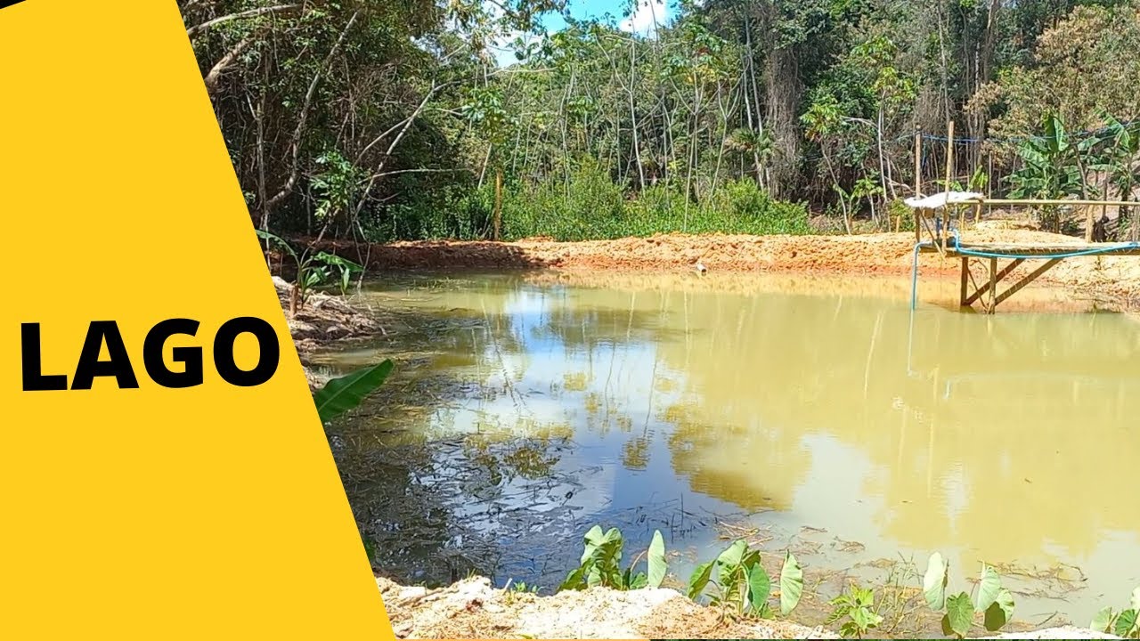 FAÇA SEU PRÓPIO LAGO EM 30 DIAS! - YouTube