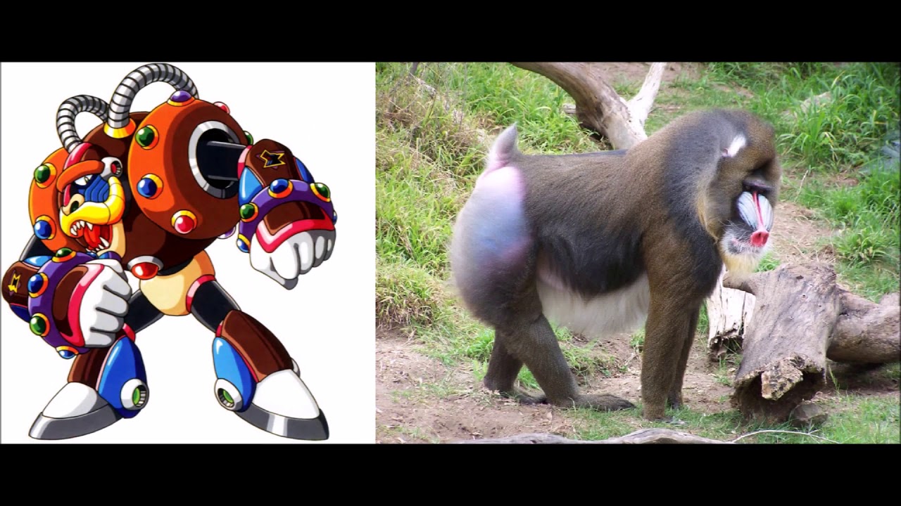 Mega Man X Bosses in Real Life - YouTube