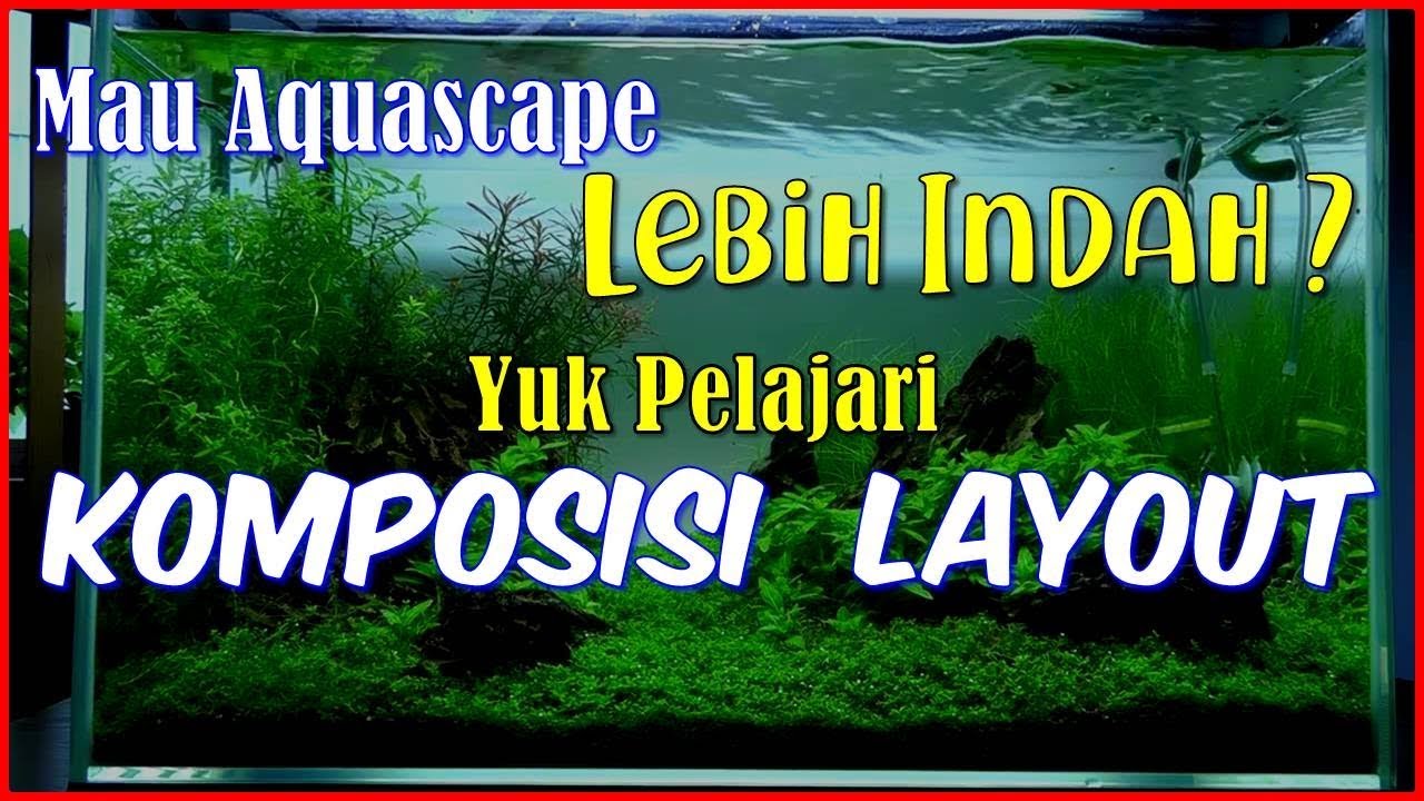 Komposisi Layout Aquascape - Menentukan Hasil Akhir - YouTube