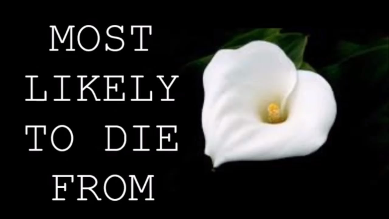 MOST LIKELY TO DIE FROM YouTube most-likely-to-die-from-youtube