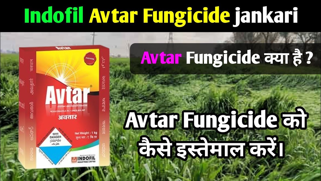 Indofil Avtar Fungicide | Avtar Fungicide | Avtar Fungicide price ...