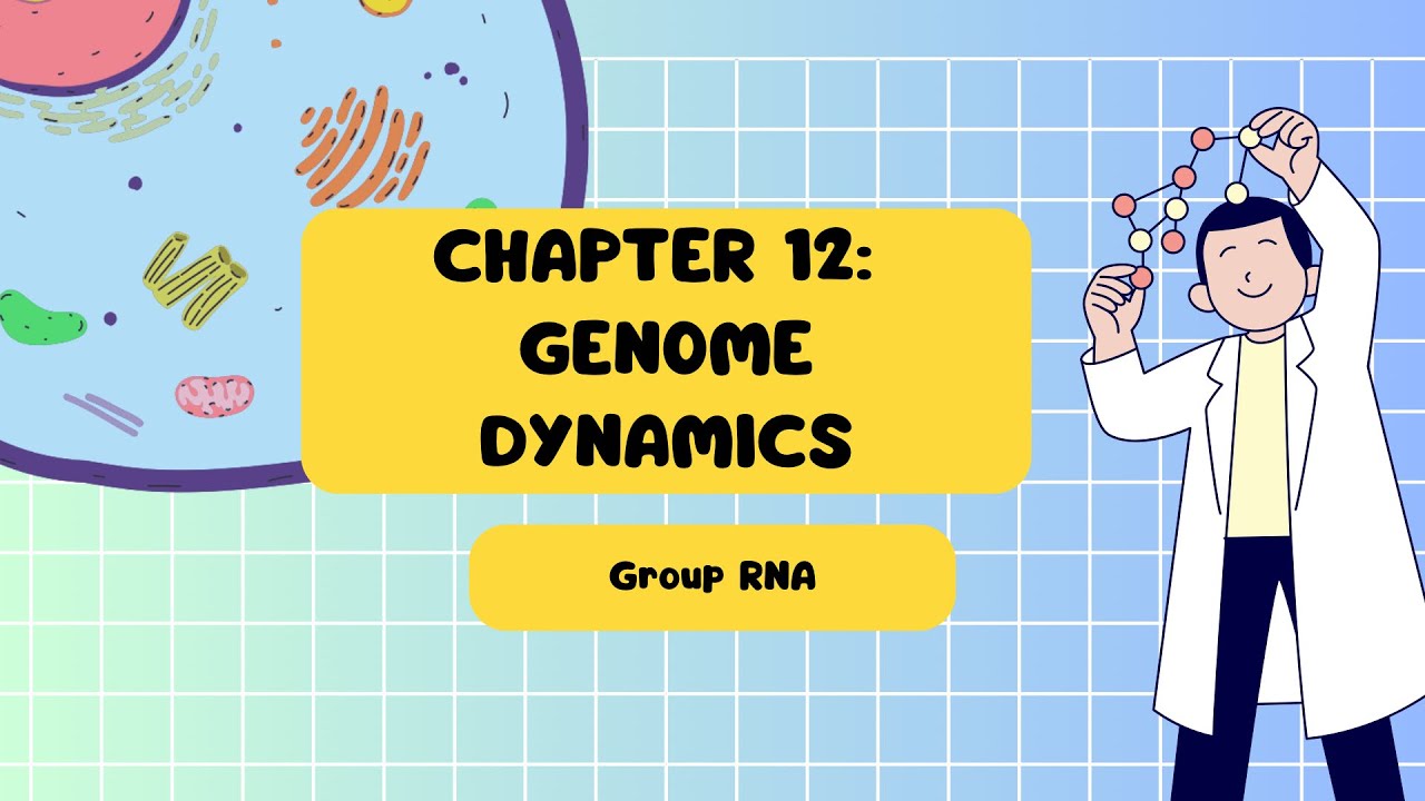 BSB2122_A2_GROUP RNA - YouTube