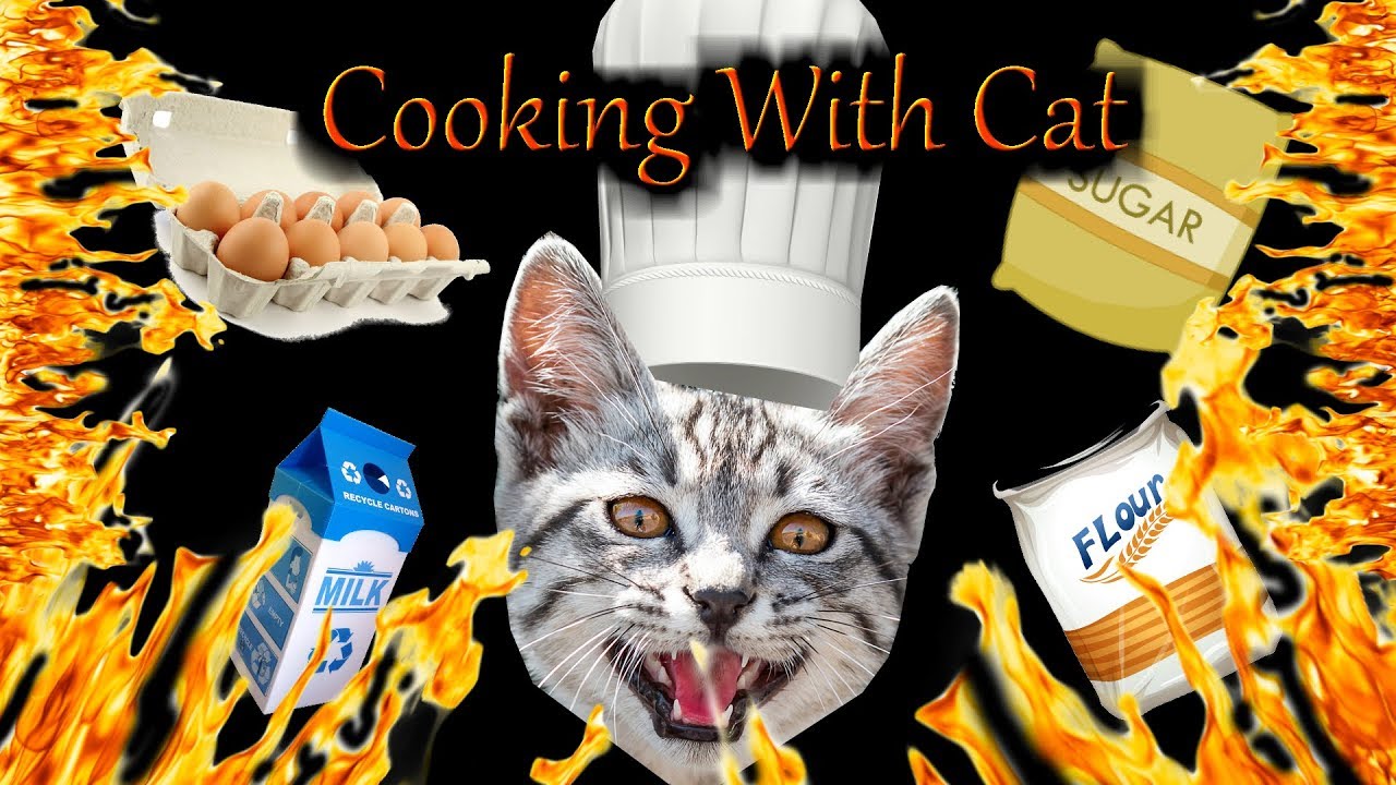 I'm a freaking cat! | Cooking with Cat - YouTube