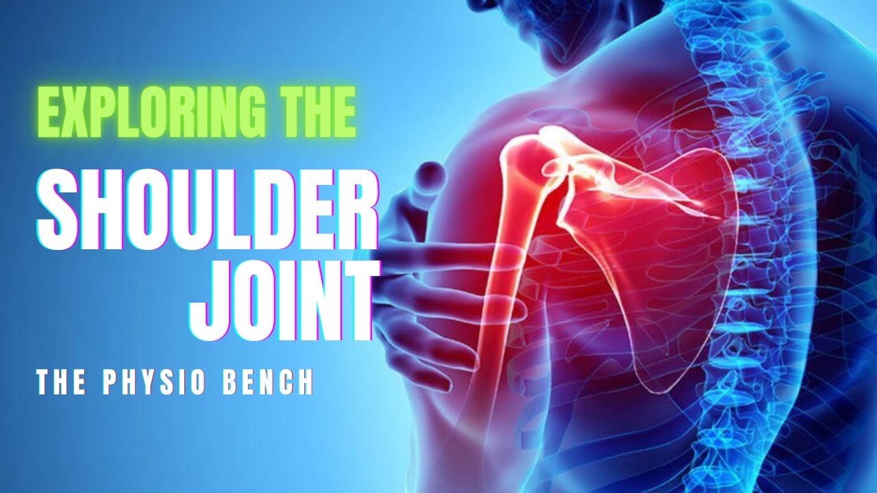 "Deep Dive into the Shoulder Joint | Anatomy, Movements, & Clinical ...