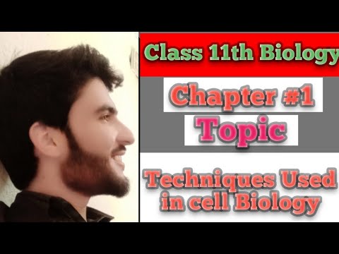 11th Class Biology || Techniques Used in cell Biology || What is Cell ...
