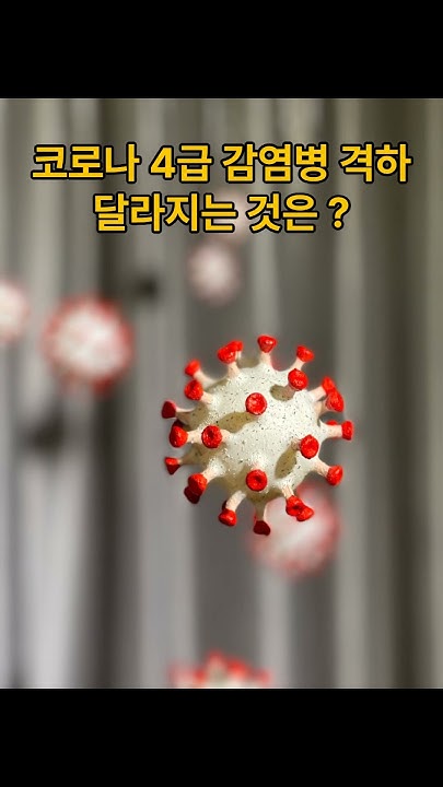 코로나 4급 감염병으로 하향조정 달라지는점은 Youtube