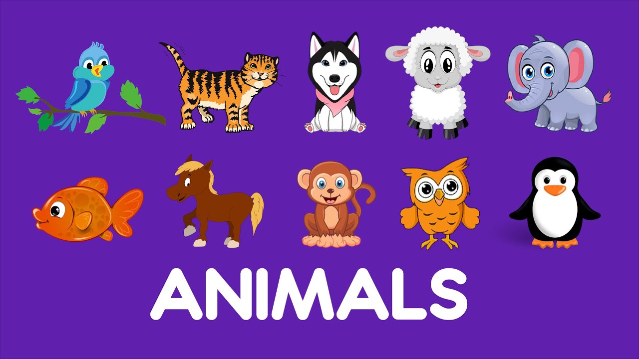 Learn Animals with Fun Cartoon Animations (pt .2) - Toddler Learning ...
