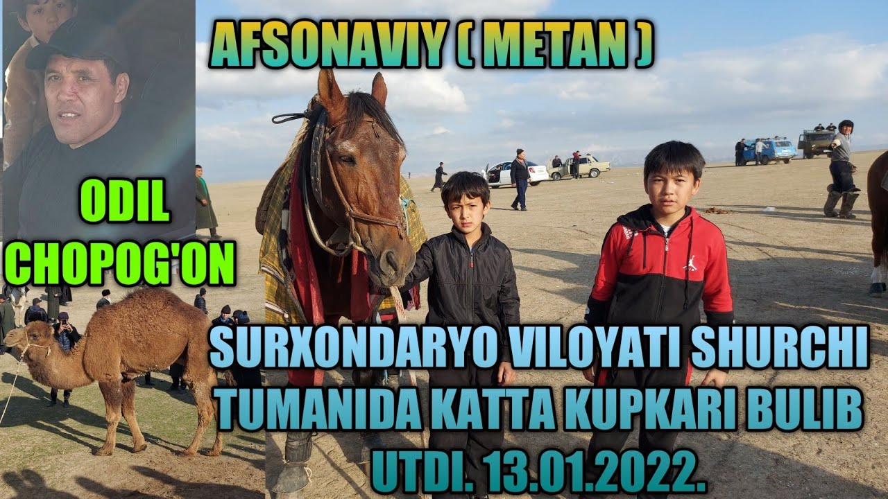 SURXONDARYO VILOYATI SHURCHI TUMANIDA KATTA KUPKARI BULIB UTDI. 1 ZOTNI ...