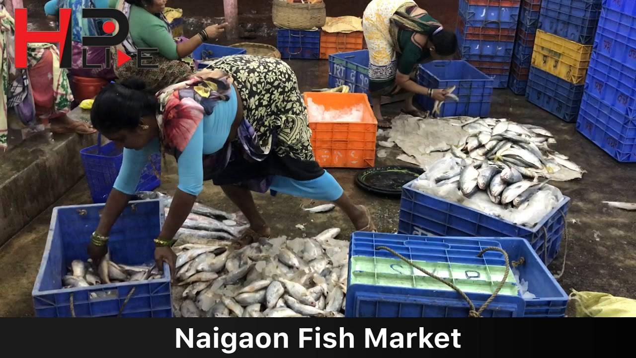 Naigaon Fish Market - YouTube