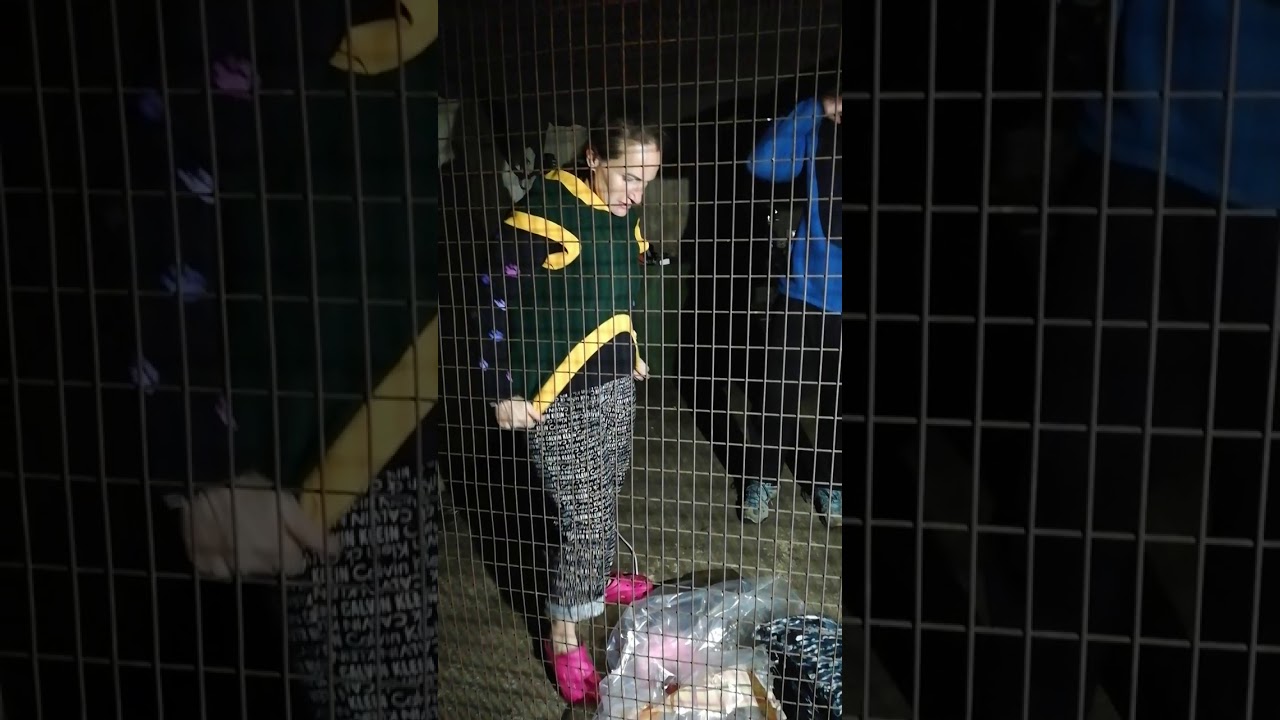 Keep them caged in - YouTube