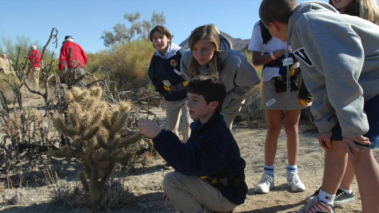 Education at The Living Desert - YouTube