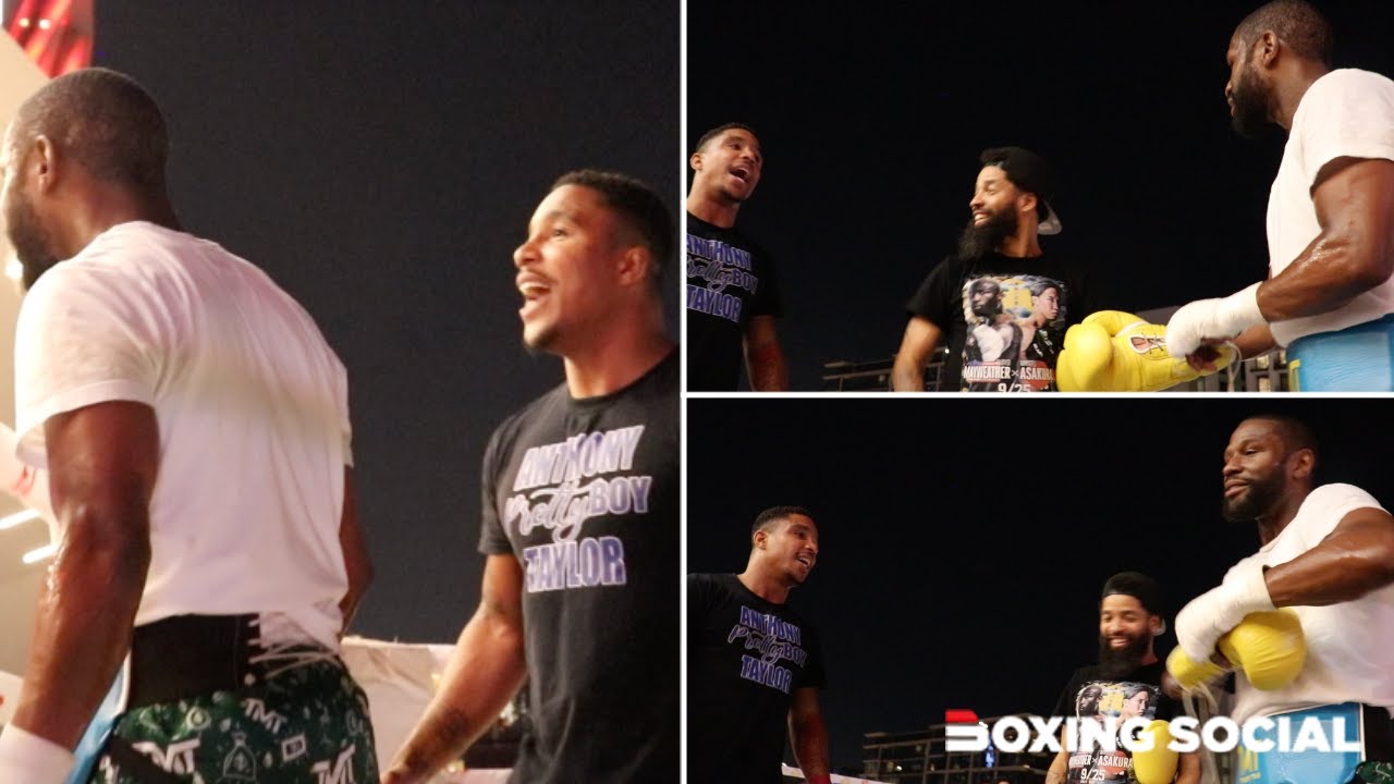 ANTHONY TAYLOR JUMPS IN THE RING & TRIES TO FIGHT FLOYD MAYWEATHER! WTF ...