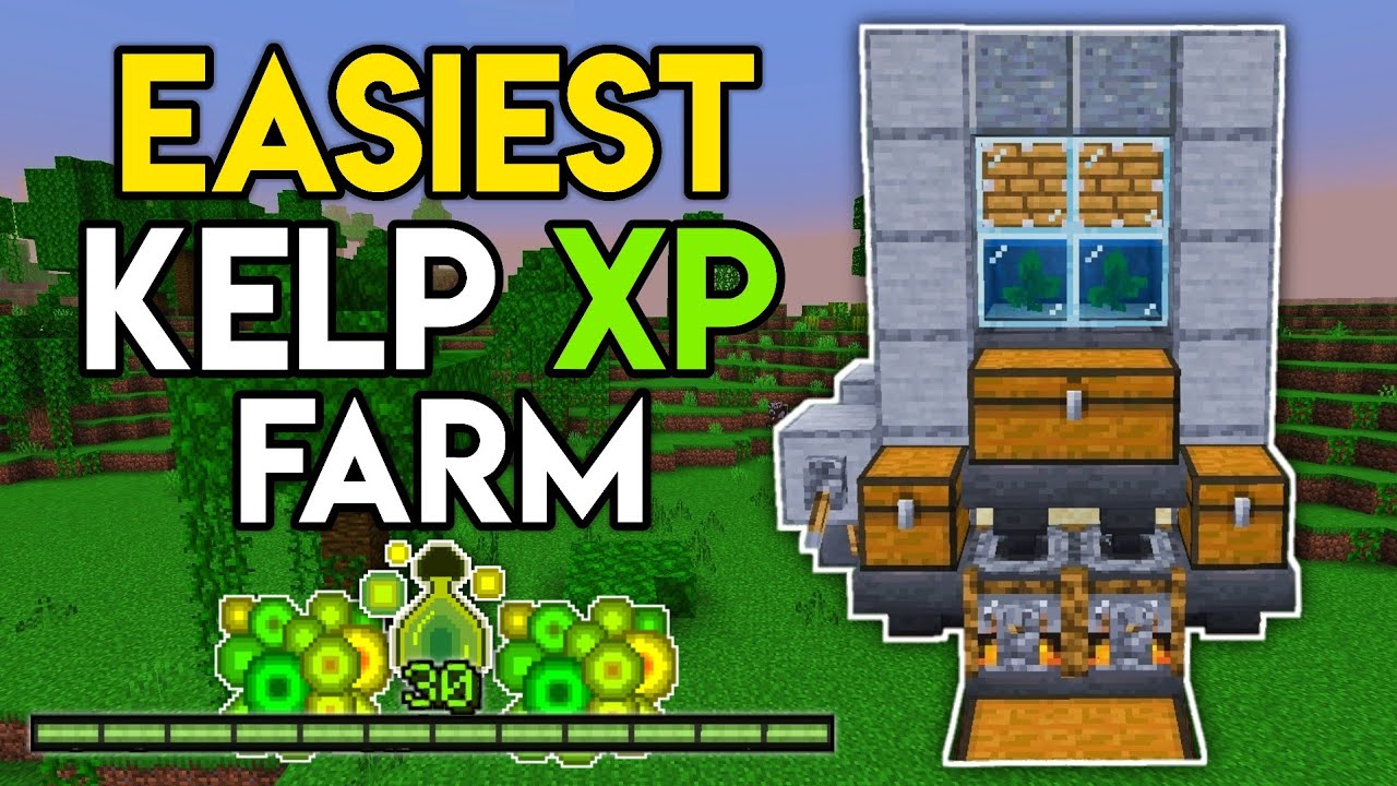 Easiest Kelp XP Farm In minecraft Bedrock 1.20 (Java/MCPE/Xbox/Switch ...