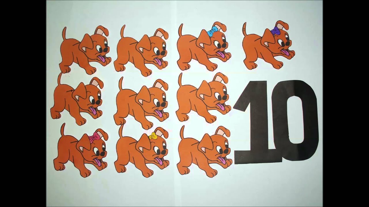 YO TENIA 10 PERRITOS - YouTube