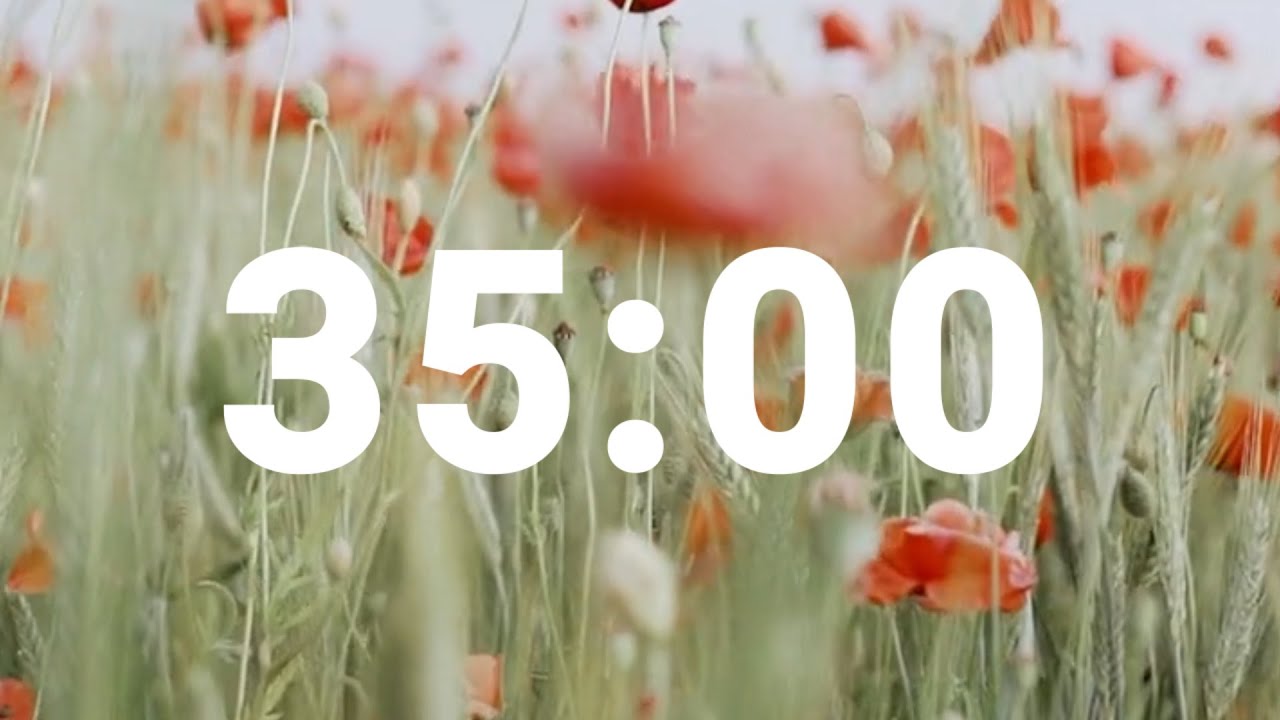 35 Minute Timer with Relaxing Music and Alarm, Countdown Clock for ...