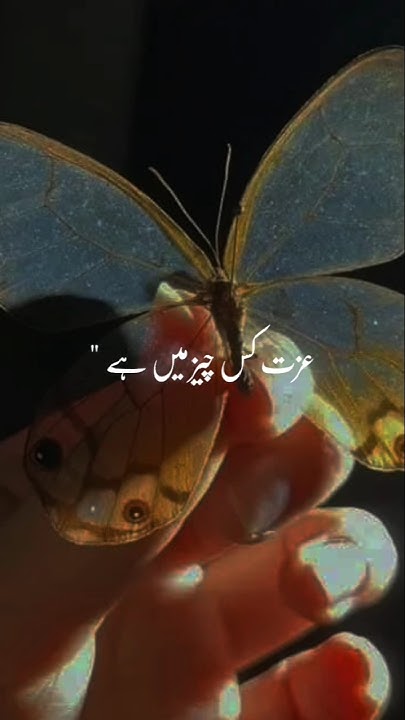 1st Islamic Short #foryou #duet #shorts #unfrezzmyaccount #whatsappstatus #instagram #instareels ...