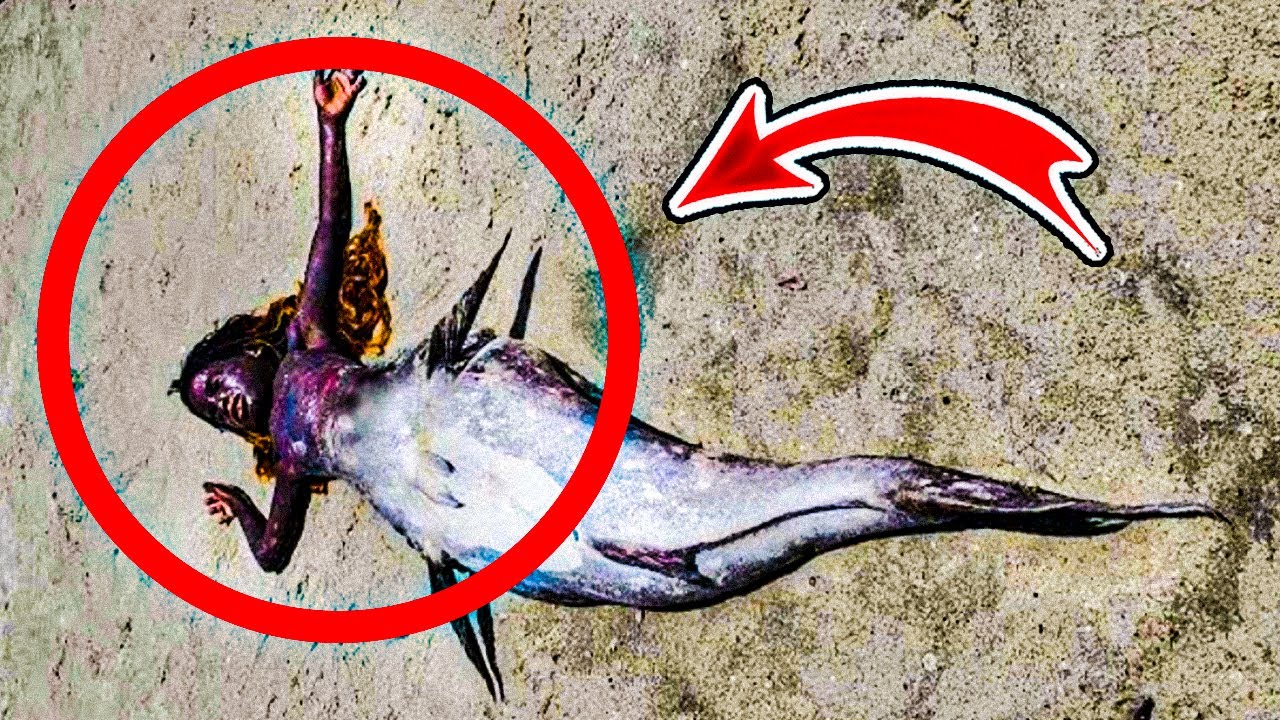 He finds Real Life Mermaid in This Aquarium... You won't believe it ...