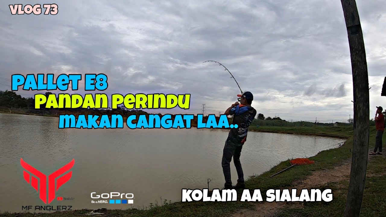 PERTAMA KALI GUNA UMPAN PALLET E8 PANDAN PERINDU | PALLET SEGERA MAKAN ...