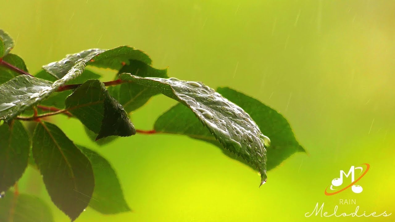 Calming Piano Music with Rain & Thunder Sounds for Sleep or Relaxing ...