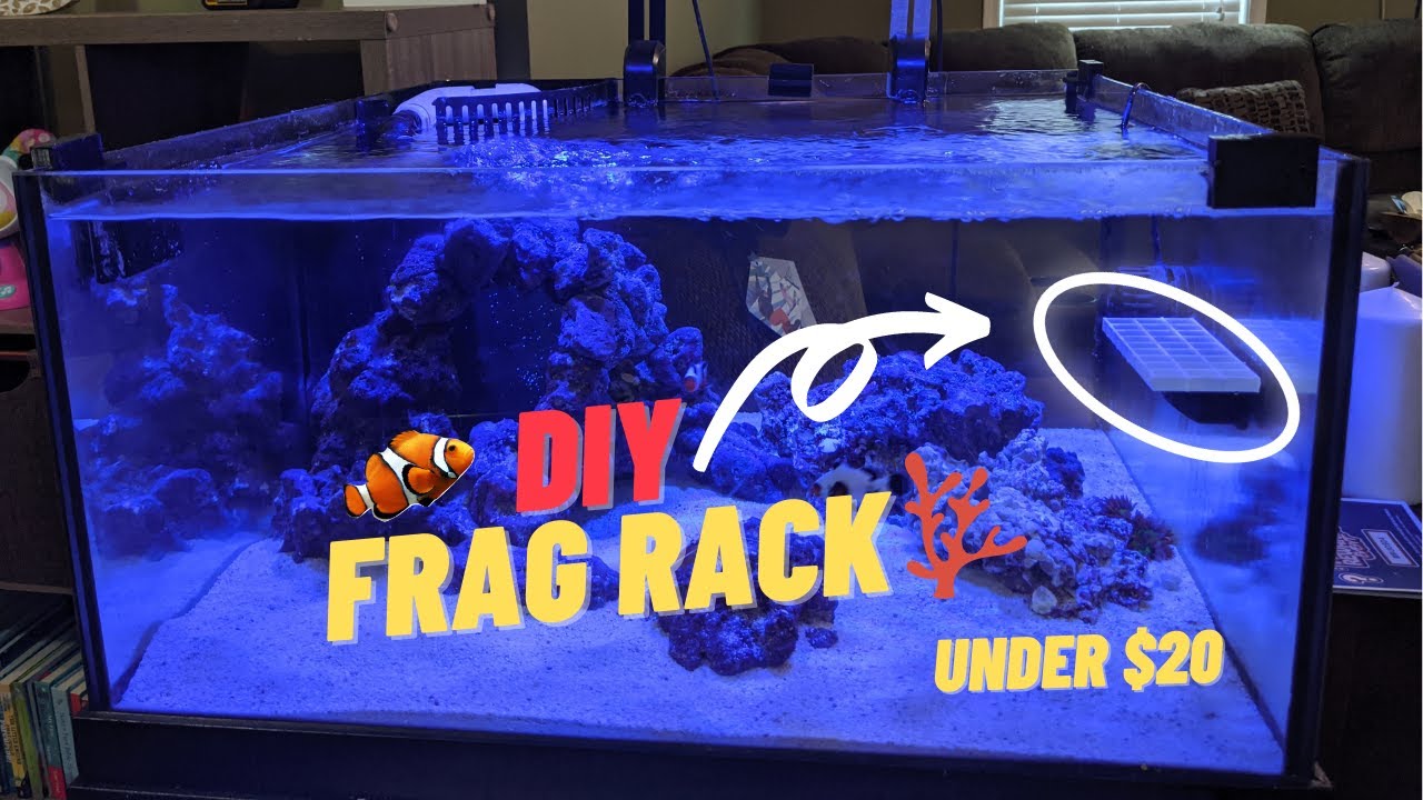 DIY $20 Magnetic Frag Rack - YouTube
