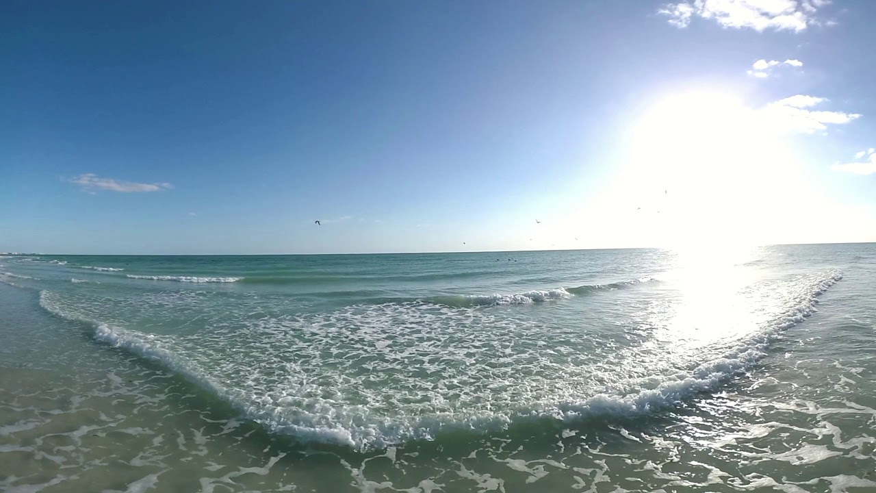 Discover Longboat Key Beach & Sea, Florida 2018 VR 360 - YouTube