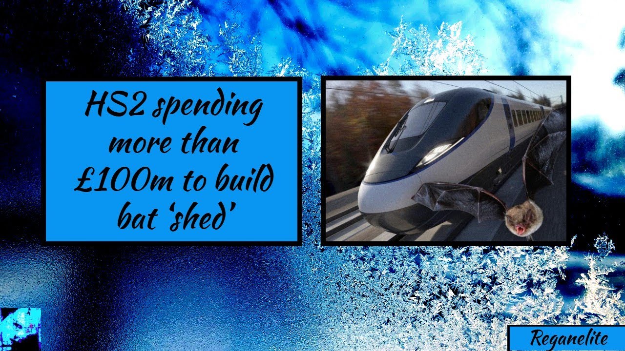 HS2 spending more than £100m to build bat ‘shed’ - YouTube