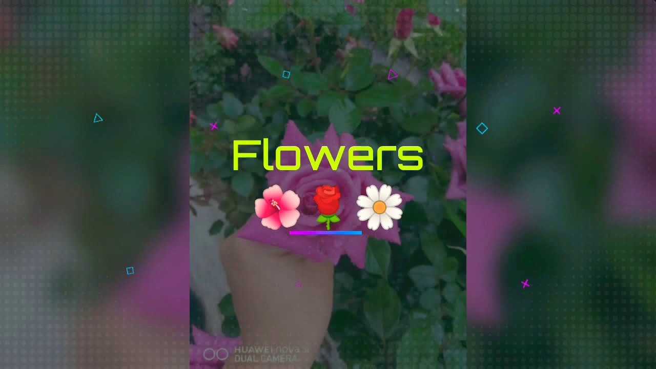 Flowers - YouTube