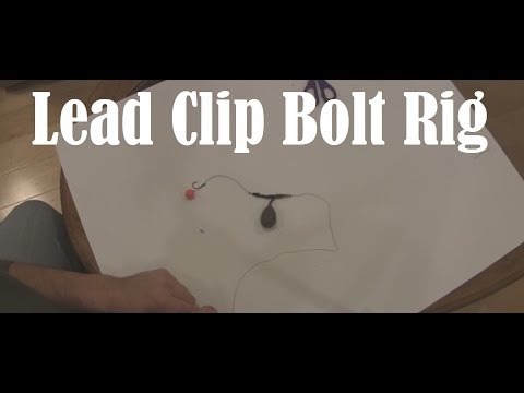 The bolt rig | Allaboutangling.net