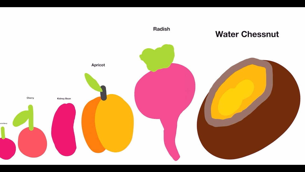 Infinite Zoom Art Fruit And Vegetables Size Comparison by Pecho # ...