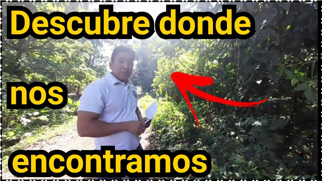 ♻️Saludando a los suscriptores👍🇬🇹-Chapi videos 502 - YouTube