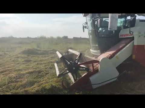 FMWORLD ,, Rice Combine Harvester in Uzbekistan ''