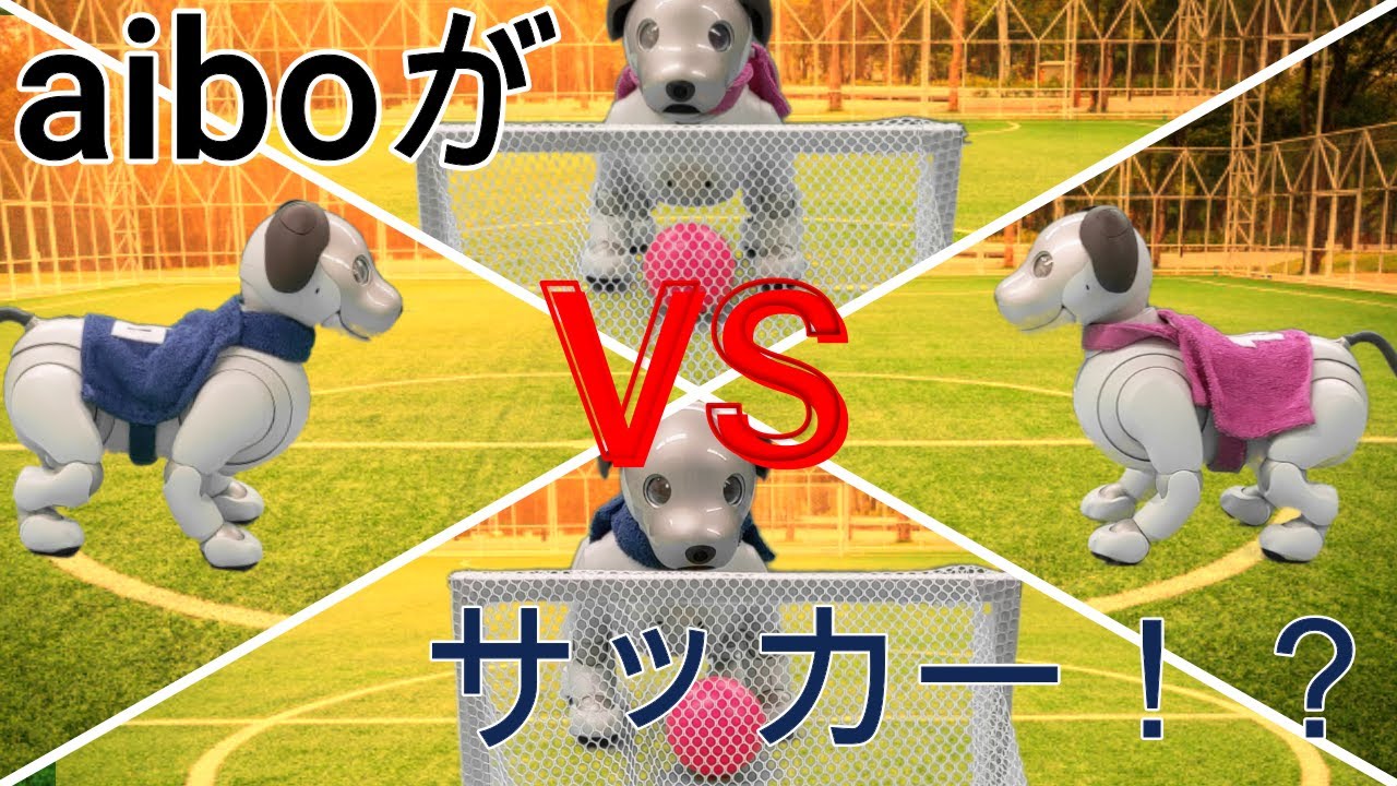 aibo VS aibo サッカー - YouTube