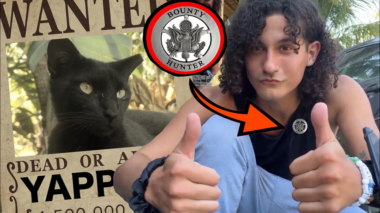 Operation: Trap Yap (Cats N' Chat) - YouTube