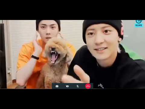 Kai ile hayal et eski sevgilin/Yn Fanpage