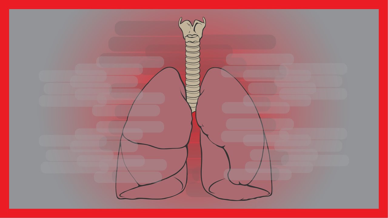 El humo es dañino para pulmones - te lo explico - YouTube