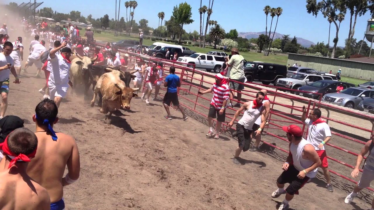 Bull Run Slow Motion - YouTube