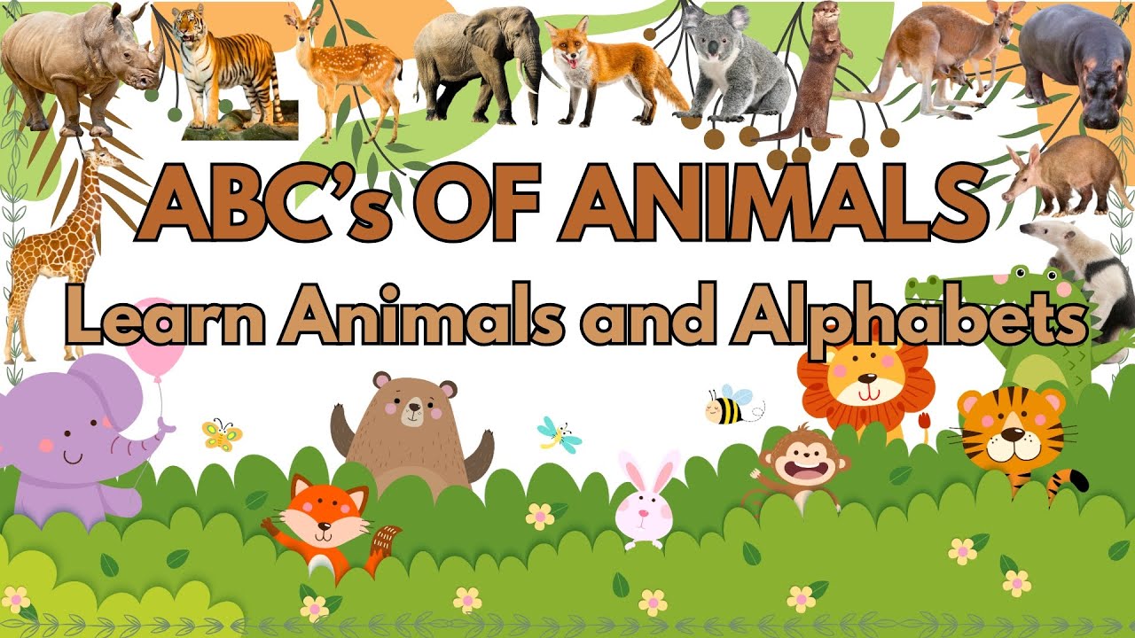 Toddlers Learn Alphabets ABC's of Animals Song with real images , Easy ...