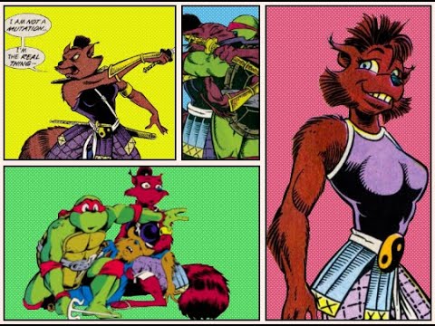 Could Ninjara (Umeko) Be The Next TMNT Character To Reintroduced - YouTube