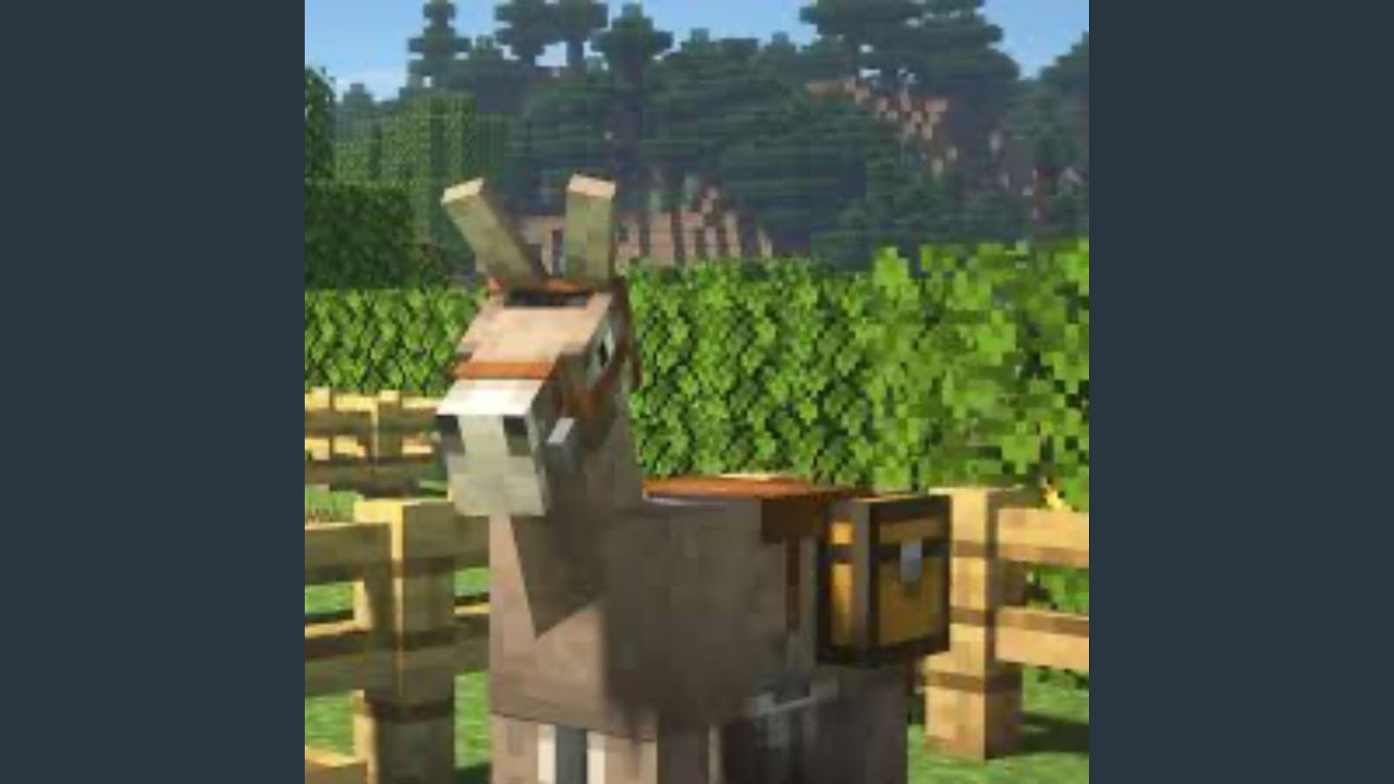 The Minecraft Donkey - YouTube