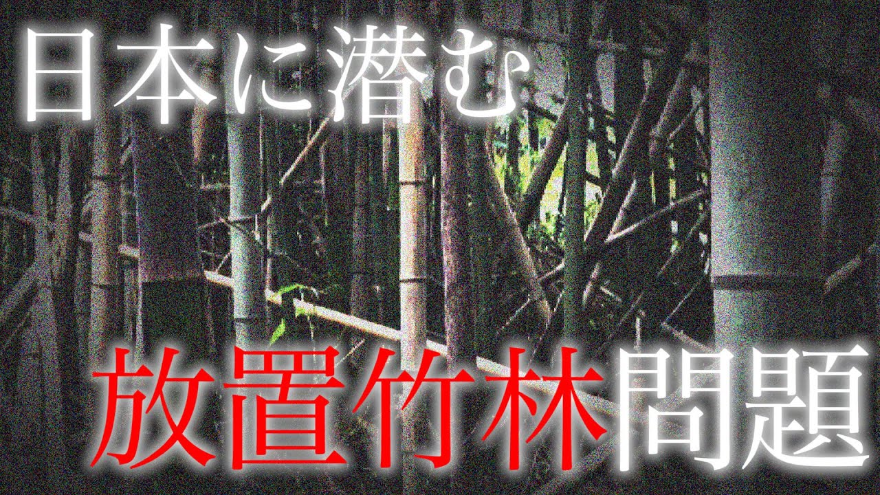 【竹の新たなる可能性？】アトル放置竹林問題対策レポート part1 - YouTube