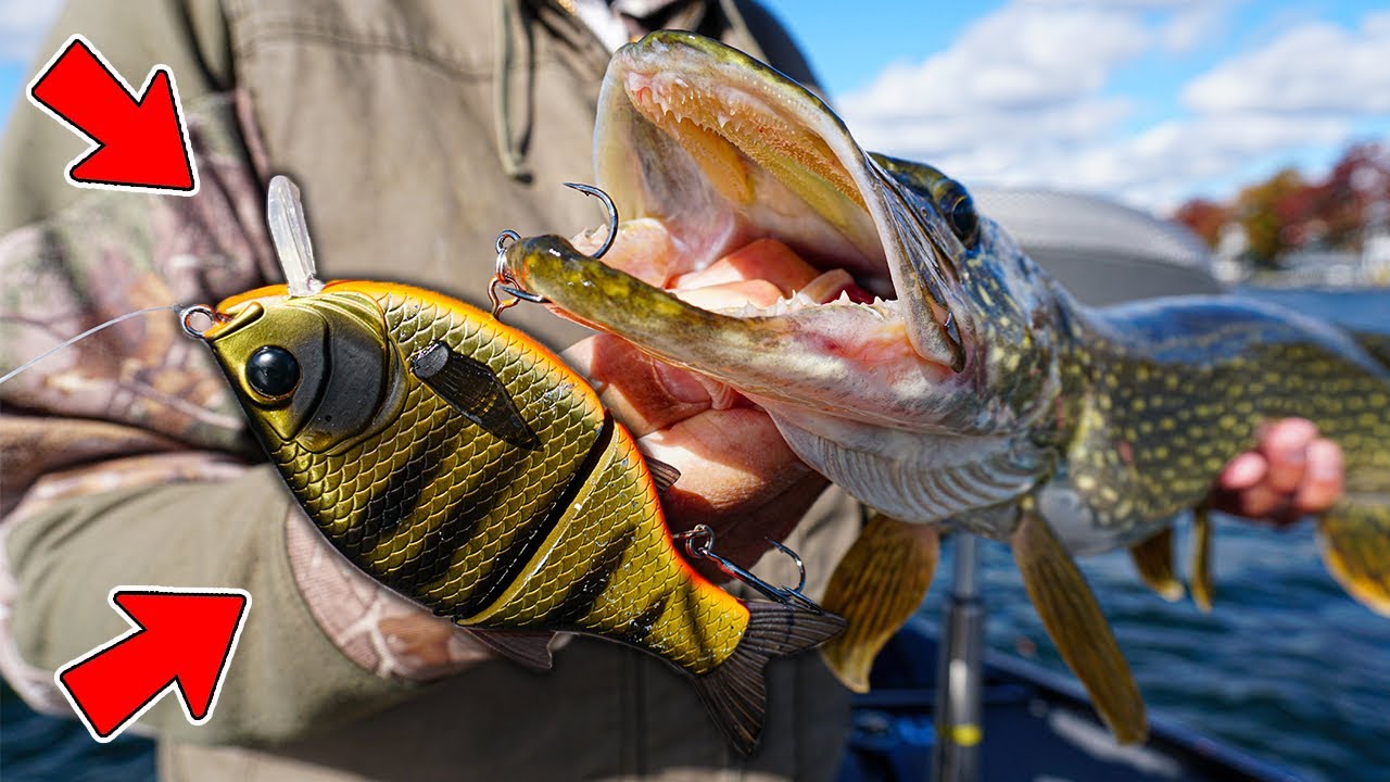 This GLIDE BAIT Catches BIG FISH: Glide Bait Fishing Tips - YouTube